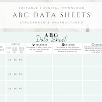 Behavior Intervention Plan | BIP at a Glance | Digital Download ...