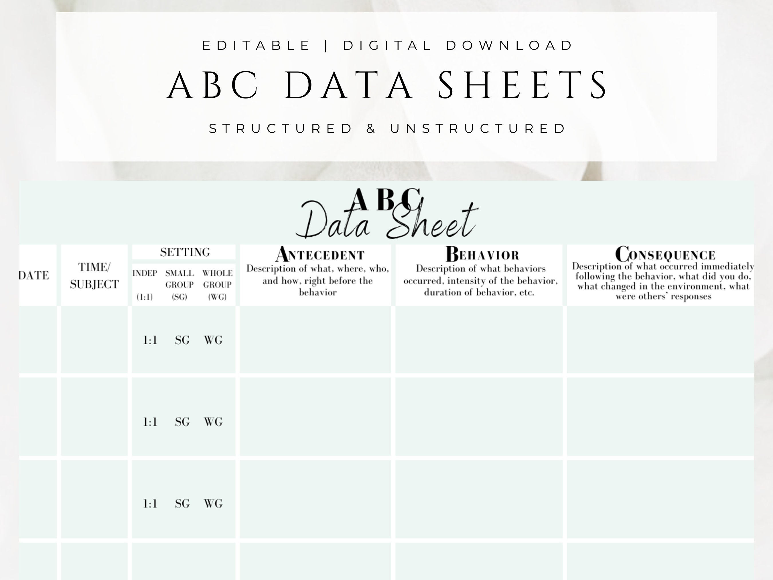 Editable ABC Data Collection Sheets | Unstructured & Structured | FBA ...