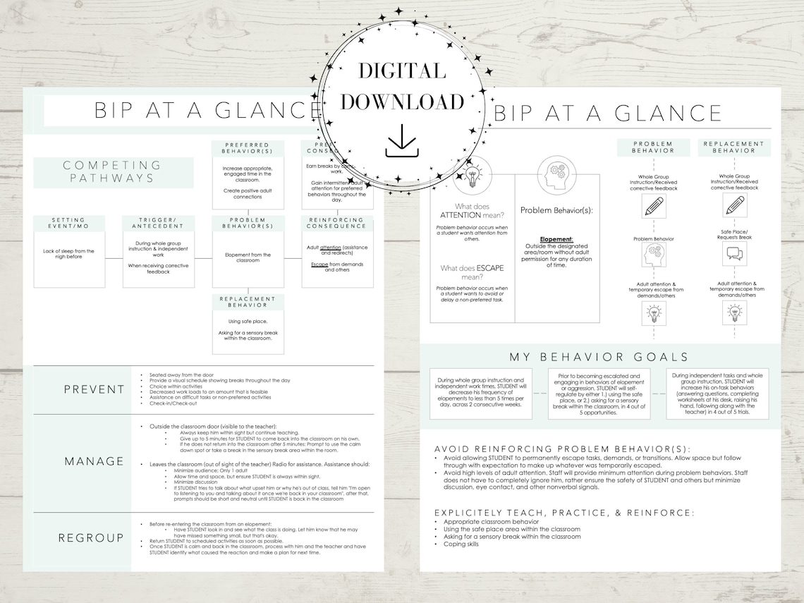 Behavior Intervention Plan | BIP at a Glance | Digital Download ...