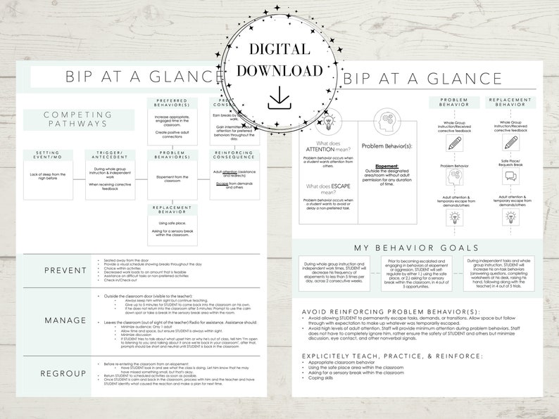 Behavior Intervention Plan | BIP at a Glance | Digital Download ...