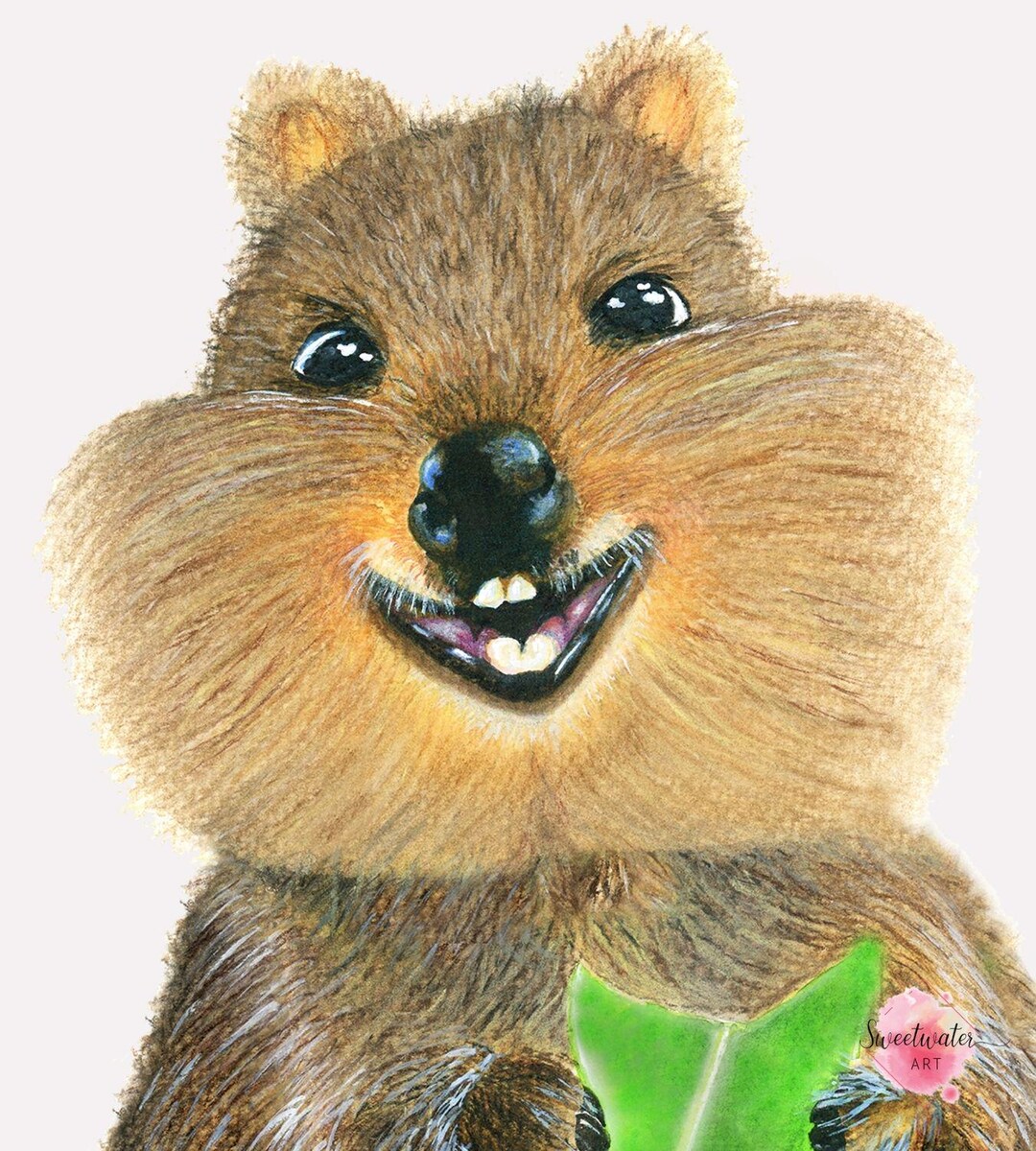 Happy Quokka Wall Art | Cute Animal Nursery Print | Whimsical Kids Room ...