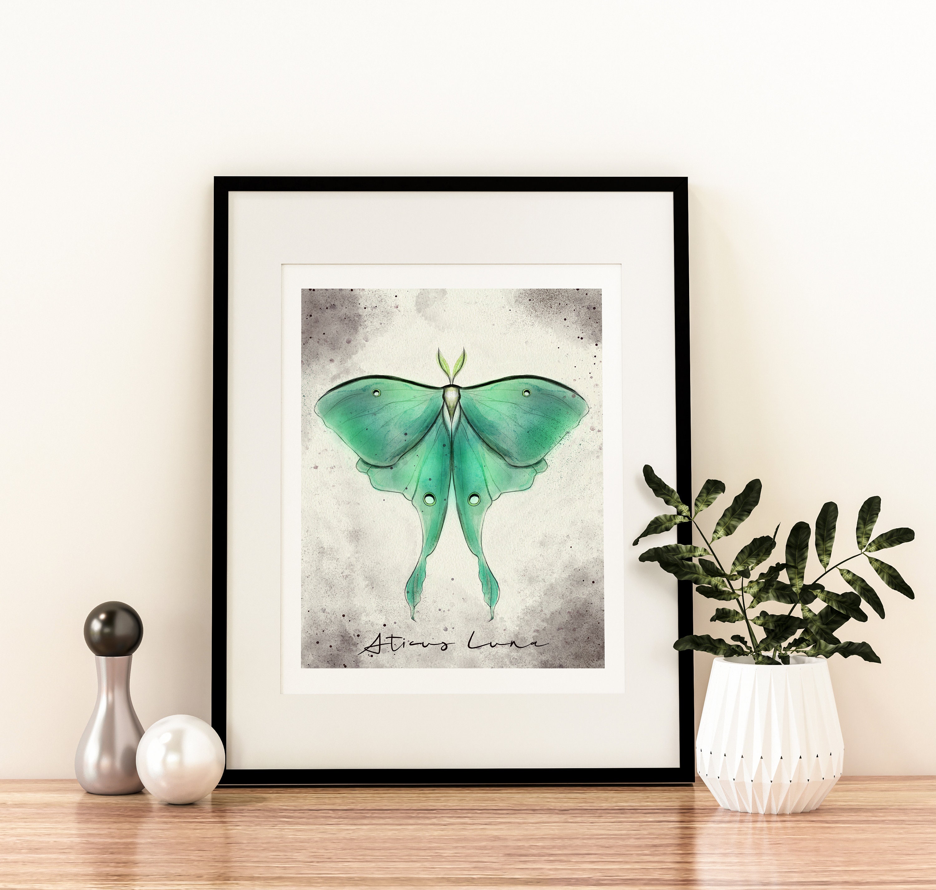 Luna Moth - 8x10 Print | Artwork | Magdalenejeanne - Etsy