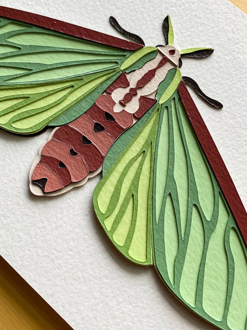Moth 5x7 Layered Paper Collage Artwork Magdalenejeanne - Etsy