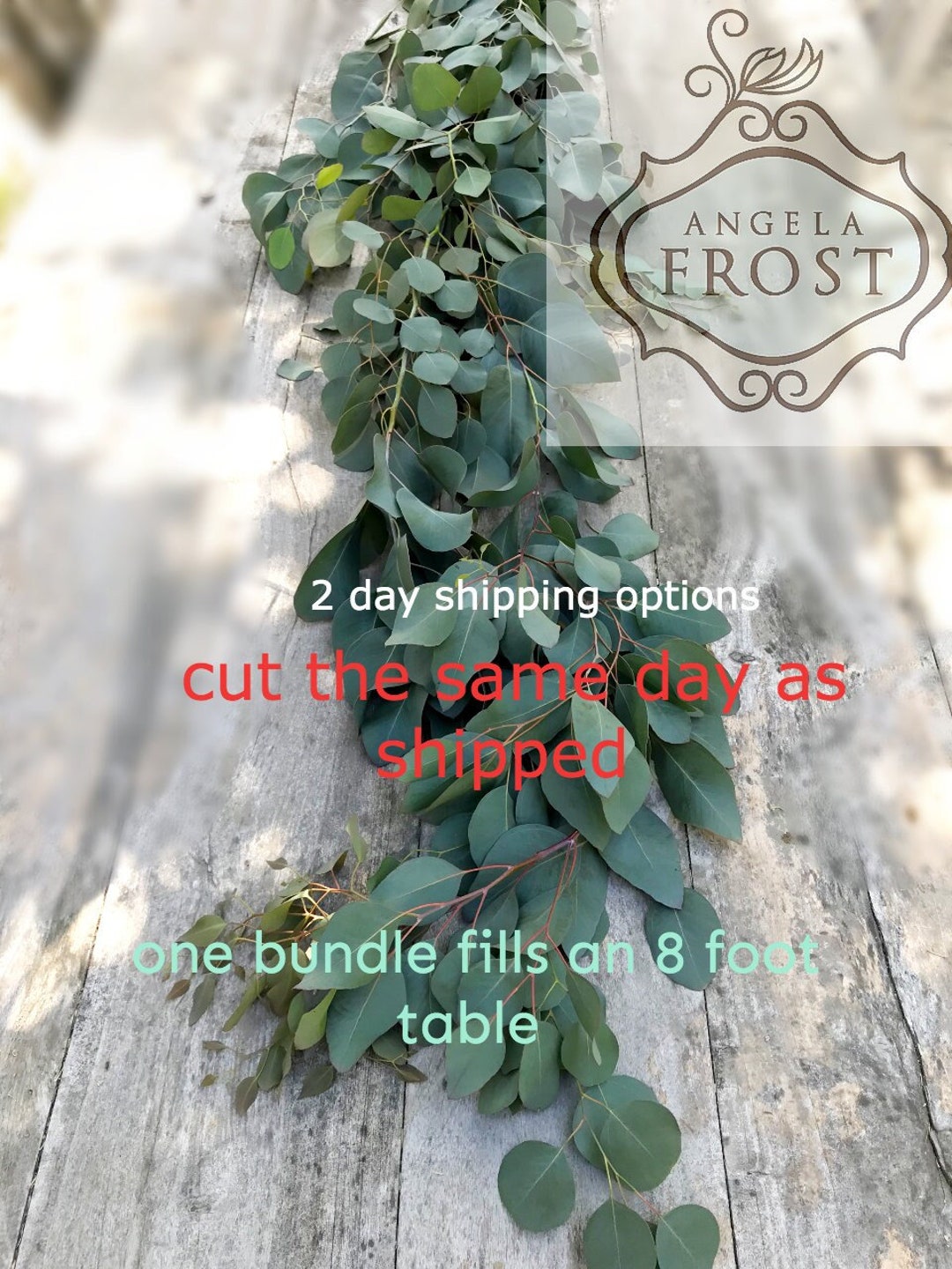 Eucalyptus Bundle for 8 Foot Table - Etsy