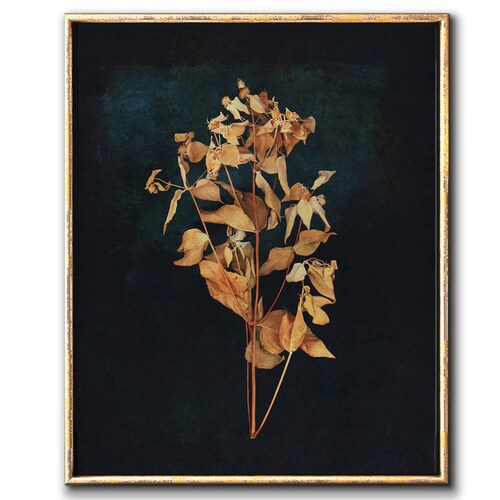 Dark Floral Gallery Wall Art Moody Botanical Print Set 3 Etsy