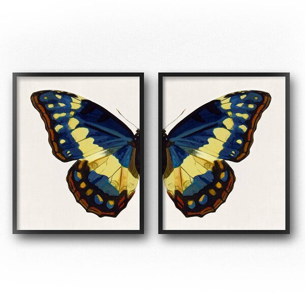 Split Butterfly Art - Etsy