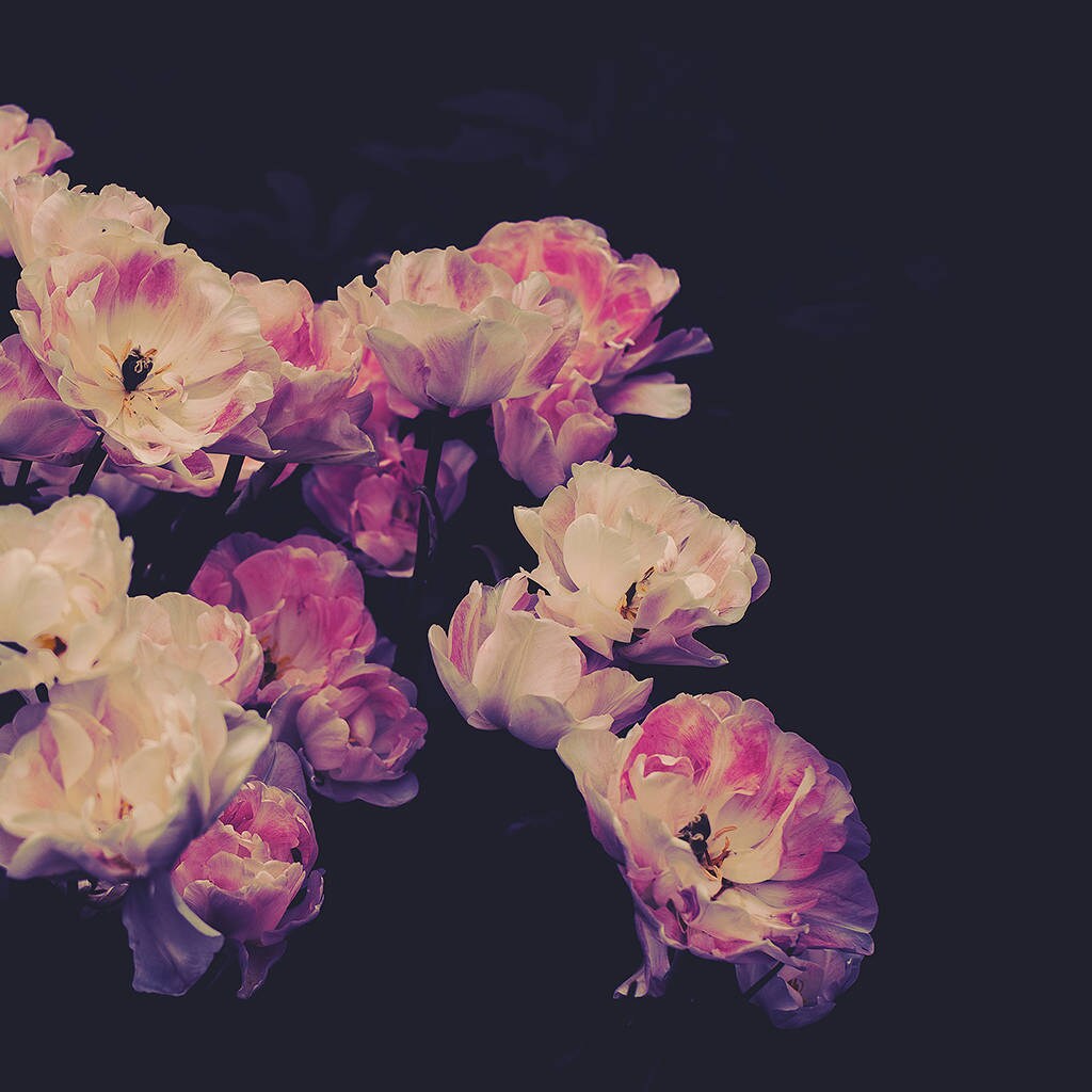 Moody Floral Art Print Digital Download Dark Botanical Poster | Etsy