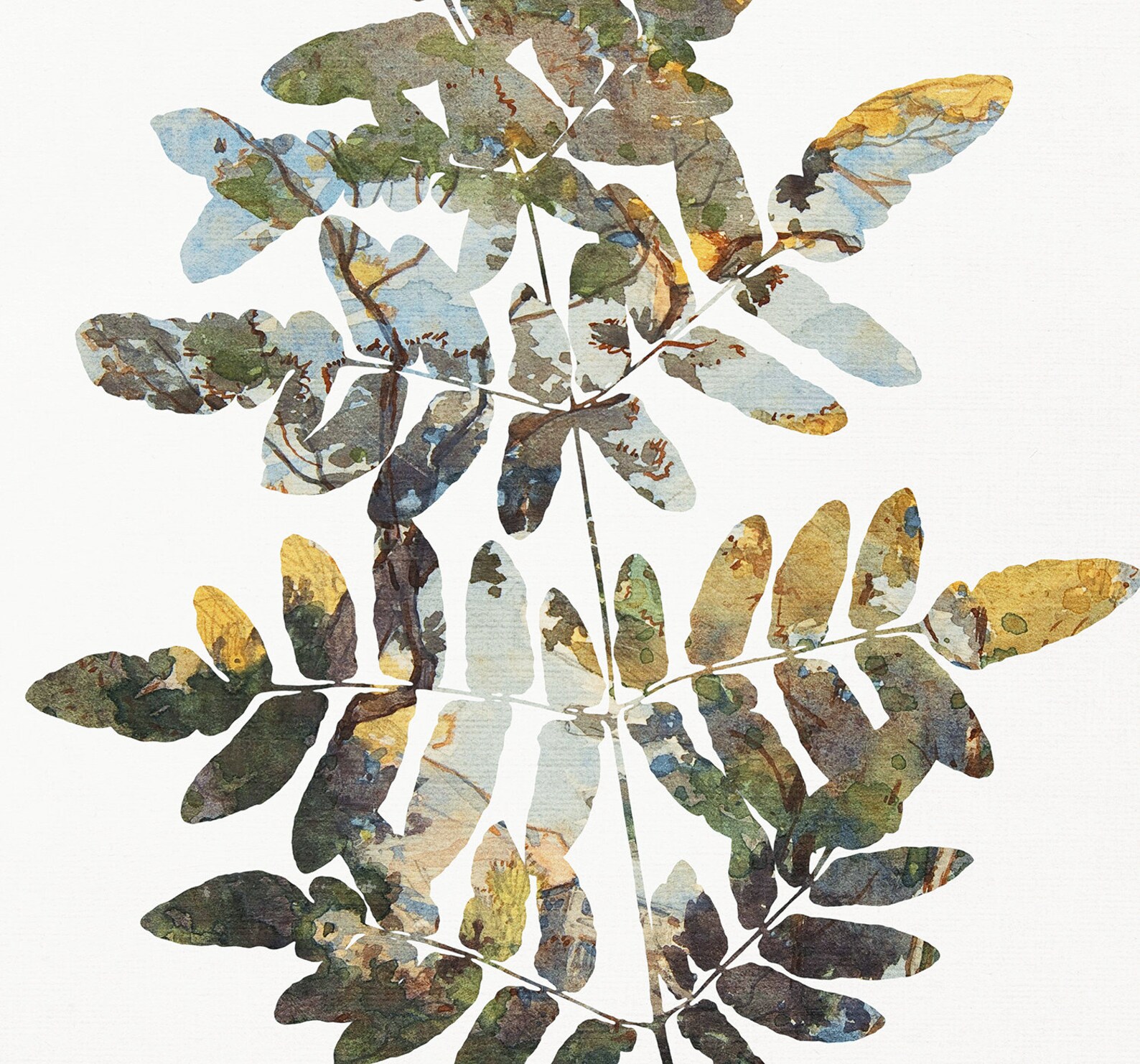 Botanical Poster Collage Art Printable Artwork Colorful Wall - Etsy