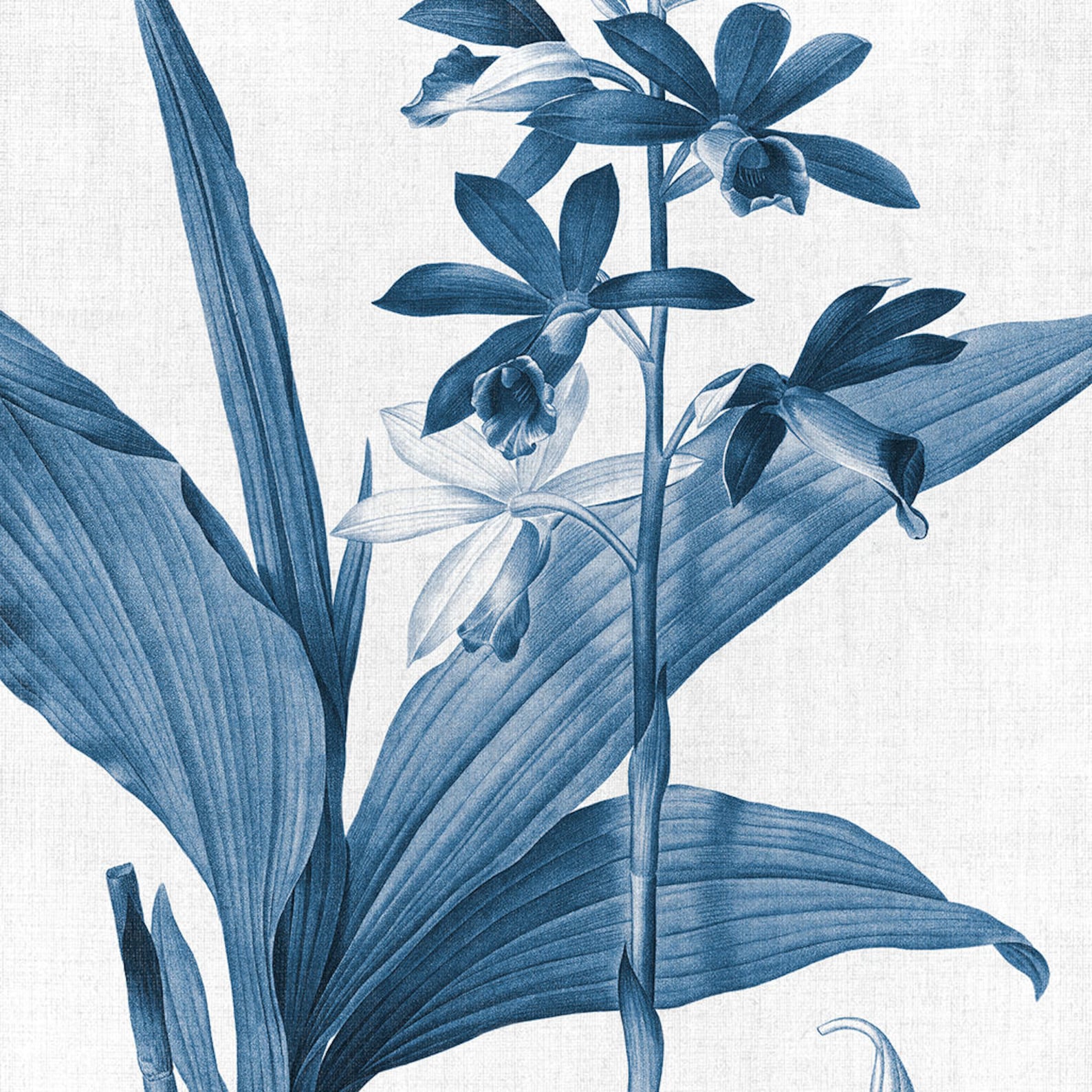 Blue Botanical Print Set of 3 Art Prints Printable Artwork - Etsy