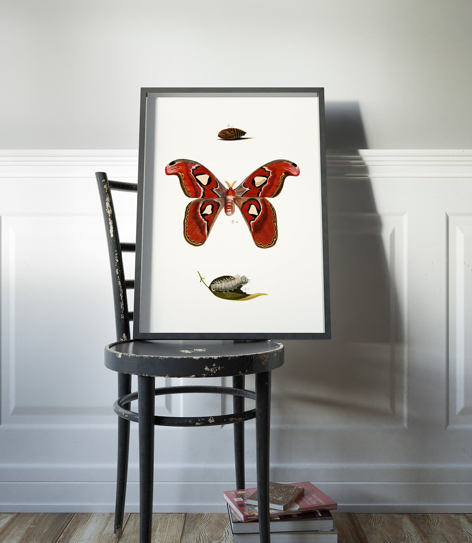 Atlas Moth Print Digital Download Art, Vintage Science Illustration ...