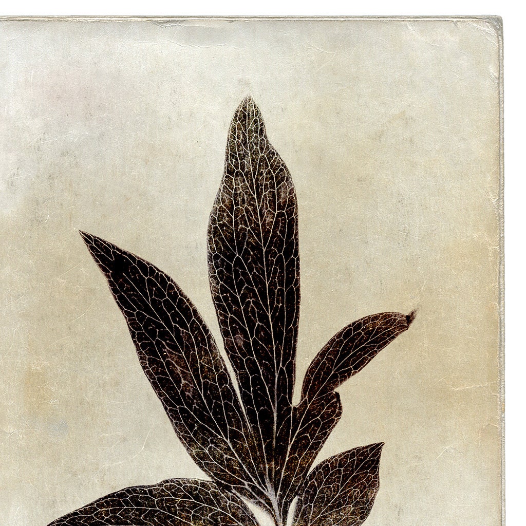 Botanical Leaf Print Printable Artwork Neutral Art Print | Etsy