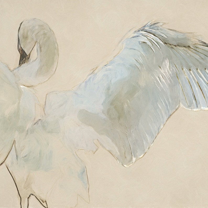 Swan Decor Downloadable Prints, Abstract Bird Wing Illustration Digital ...