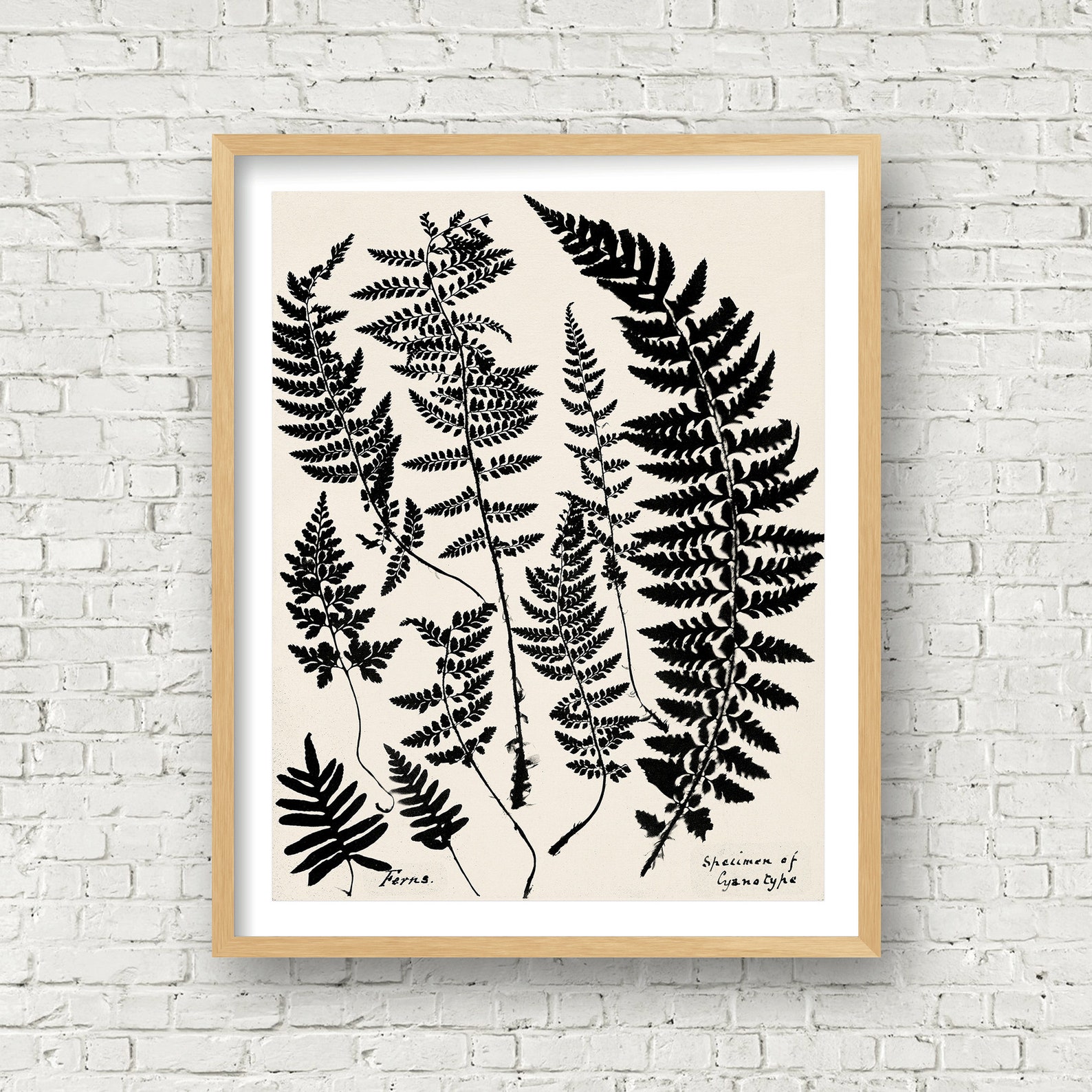 Botanical Fern Print Digital Download Neutral Wall Art - Etsy