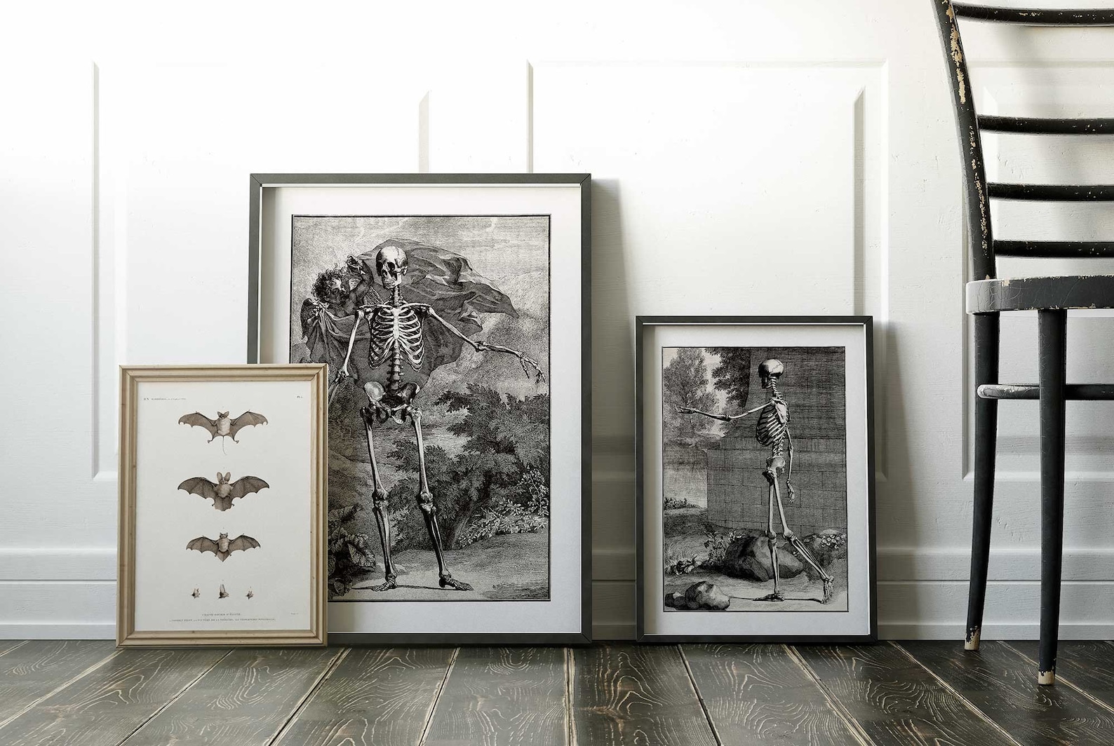 Skeleton Vintage Anatomy Poster Set of 2 Digital Prints - Etsy