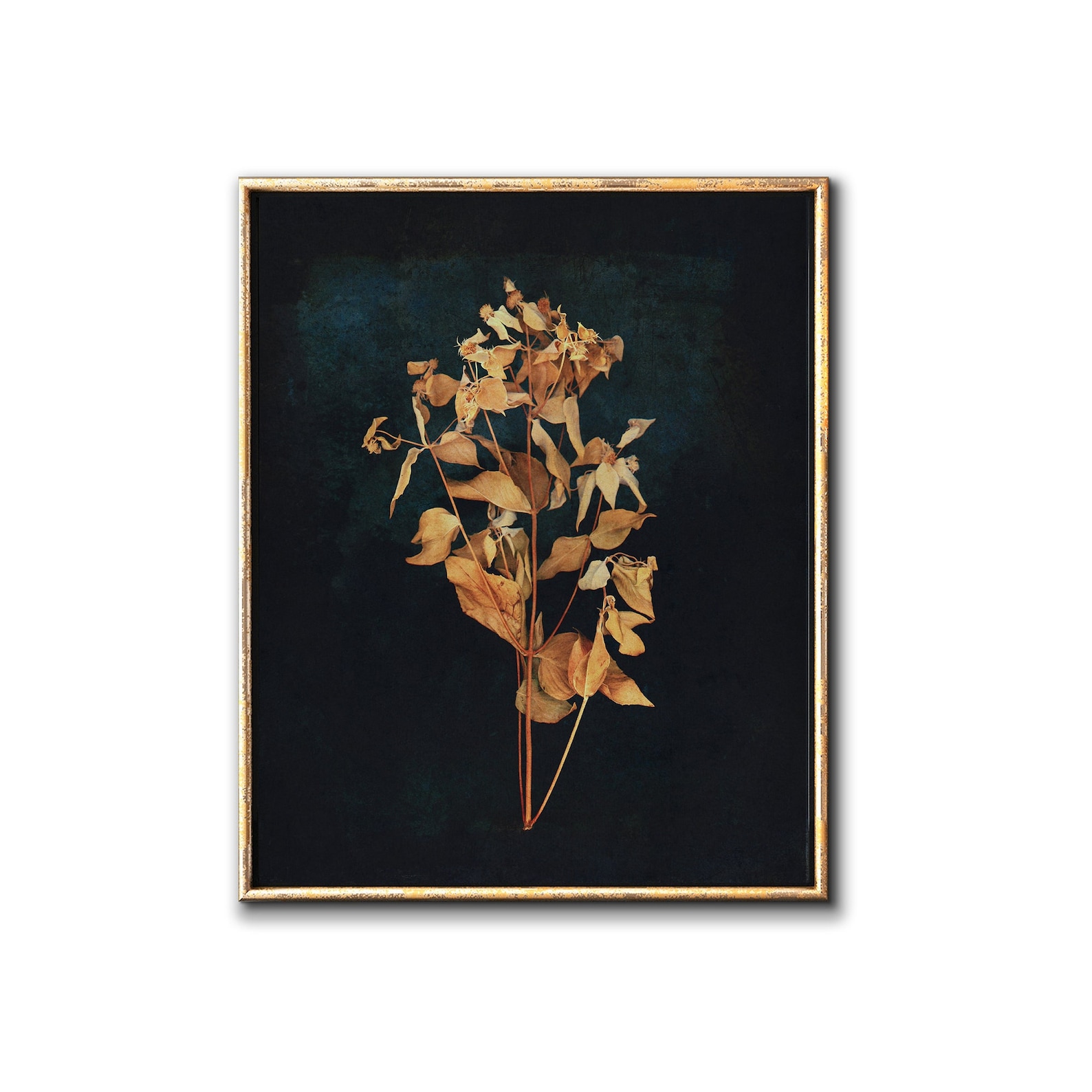 Dark Botanical Digital Print, Moody Floral Printable Art - Etsy