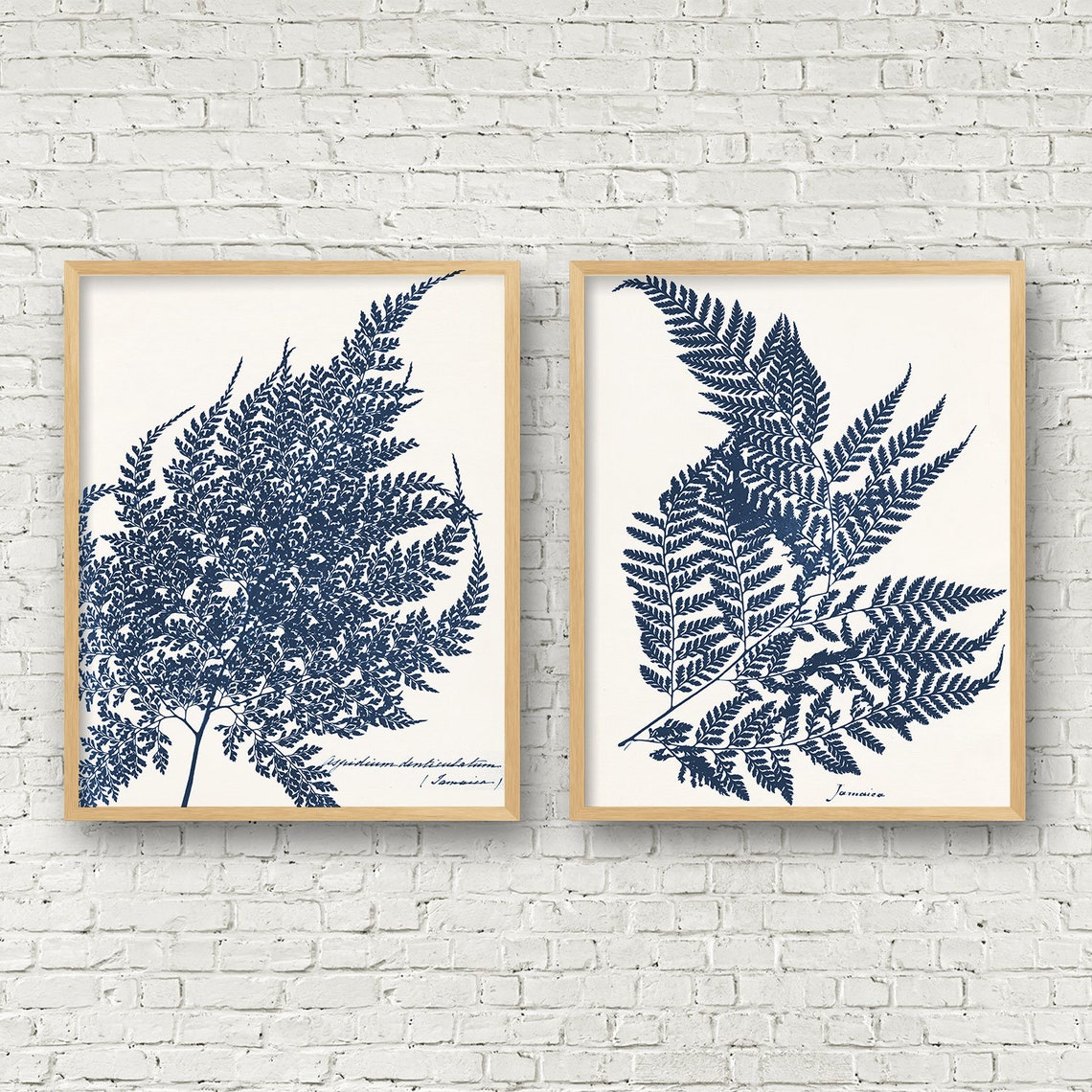 Blue Fern Prints Downloadable Art, Fern Art Botanical Poster Wall Art ...