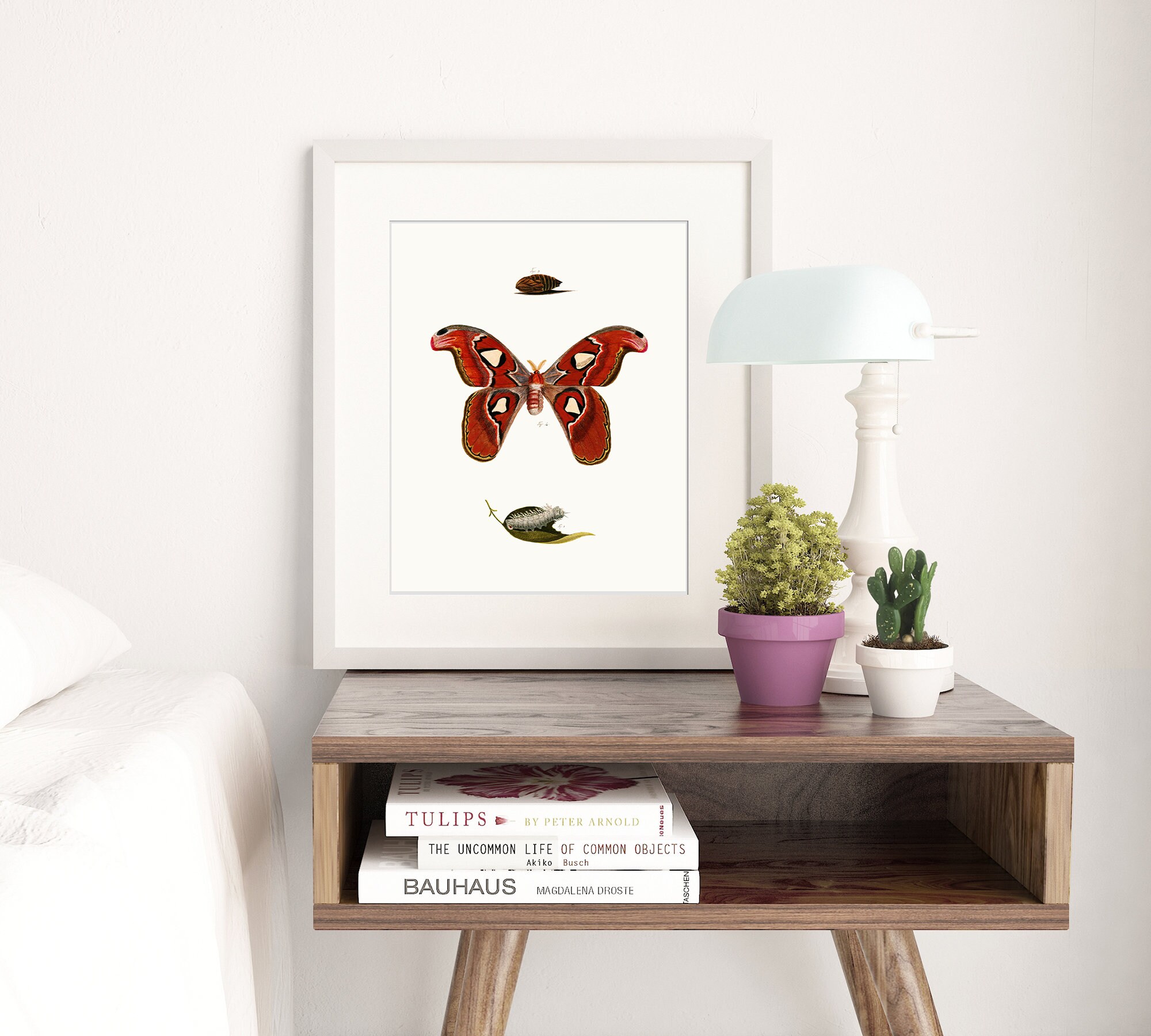Atlas Moth Print Digital Download Art, Vintage Science Illustration ...