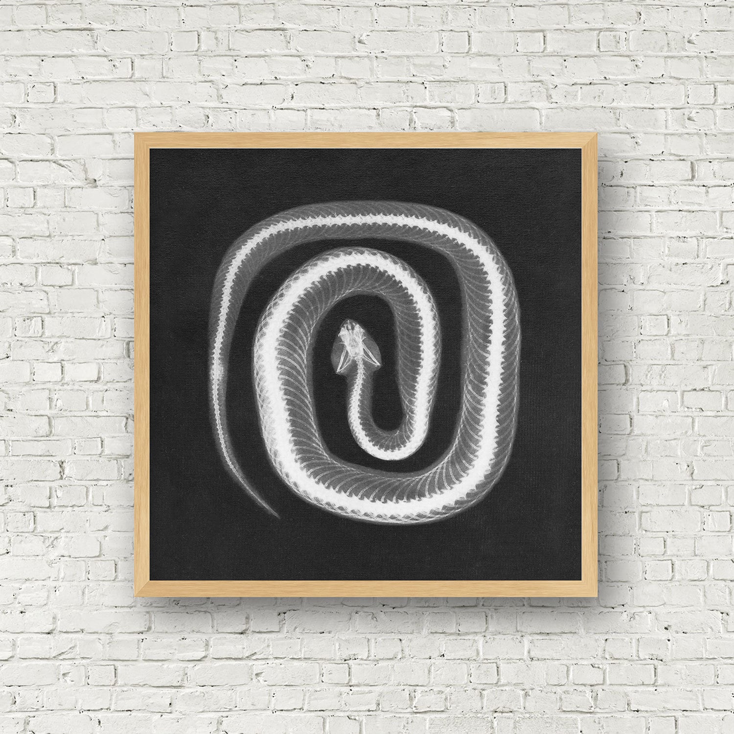 Snake Print Downloadable Art Reptile Art Gothic Home Decor | Etsy