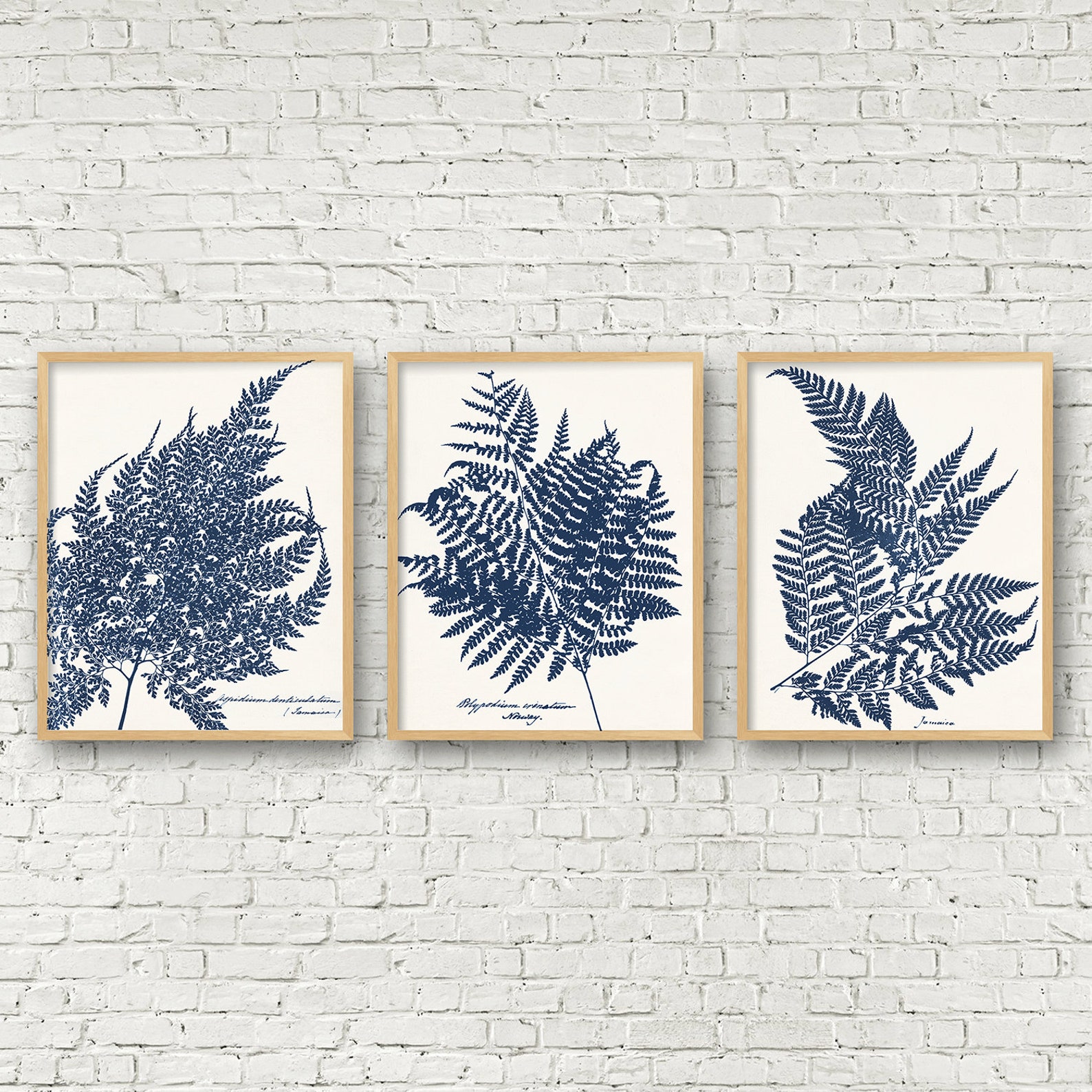 Blue Botanical Fern Print Downloadable Prints Leaf Botanical - Etsy