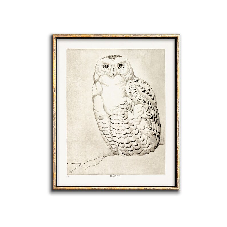 Snowy Owl Print Downloadable Prints Bird Artwork Neutral Wall Etsy