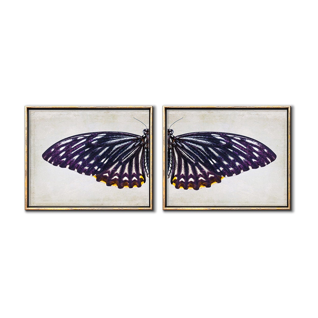 Split Butterfly Wall Art Instant Download, Butterfly Boho Chic Decor ...