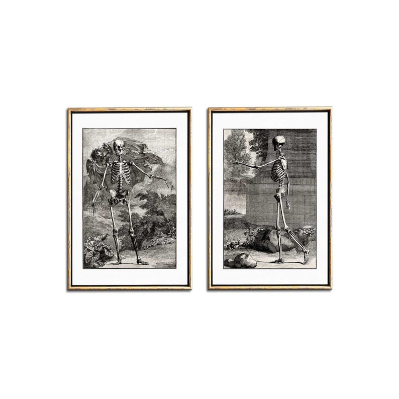Skeleton Vintage Anatomy Poster Set of 2 Digital Prints - Etsy