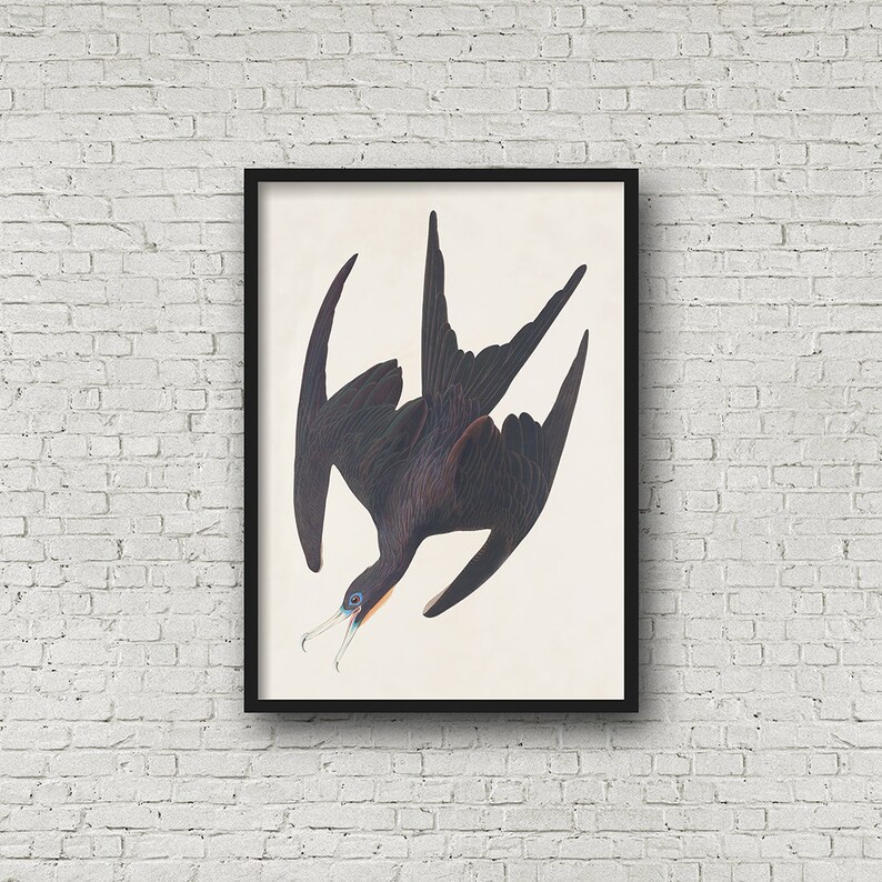 Flying Bird Art Downloadable Print Bird Poster Digital - Etsy