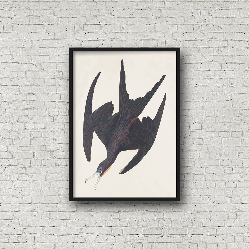 Flying Bird Art Downloadable Print Bird Poster Digital - Etsy
