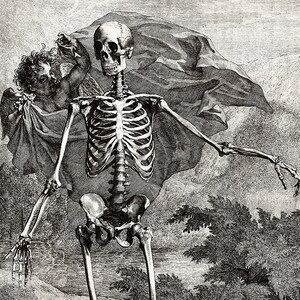 Skeleton Vintage Anatomy Poster Set of 2 Digital Prints, Victorian ...