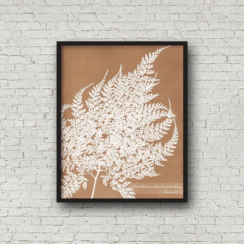 Sepia Botanical Poster Printable Wall Art Rustic Farmhouse - Etsy