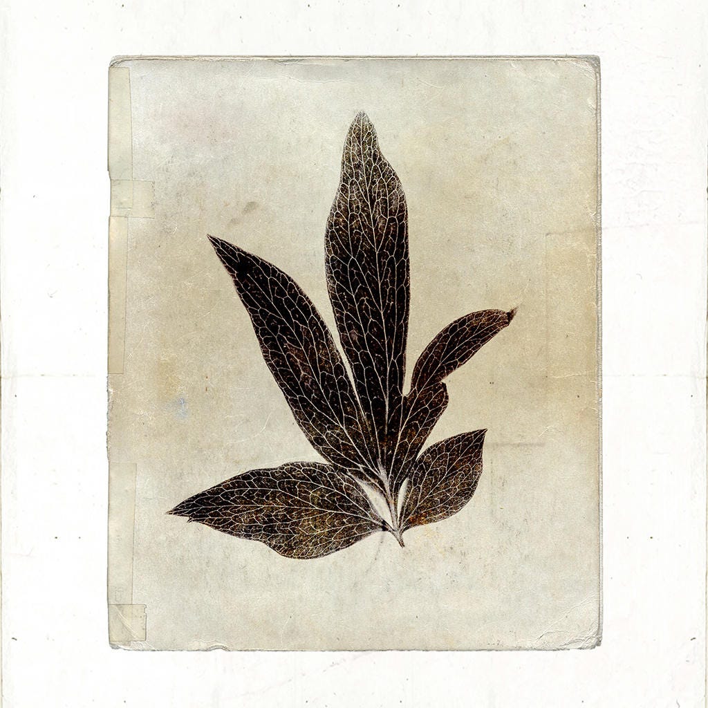 Botanical Leaf Print Printable Artwork Neutral Art Print | Etsy