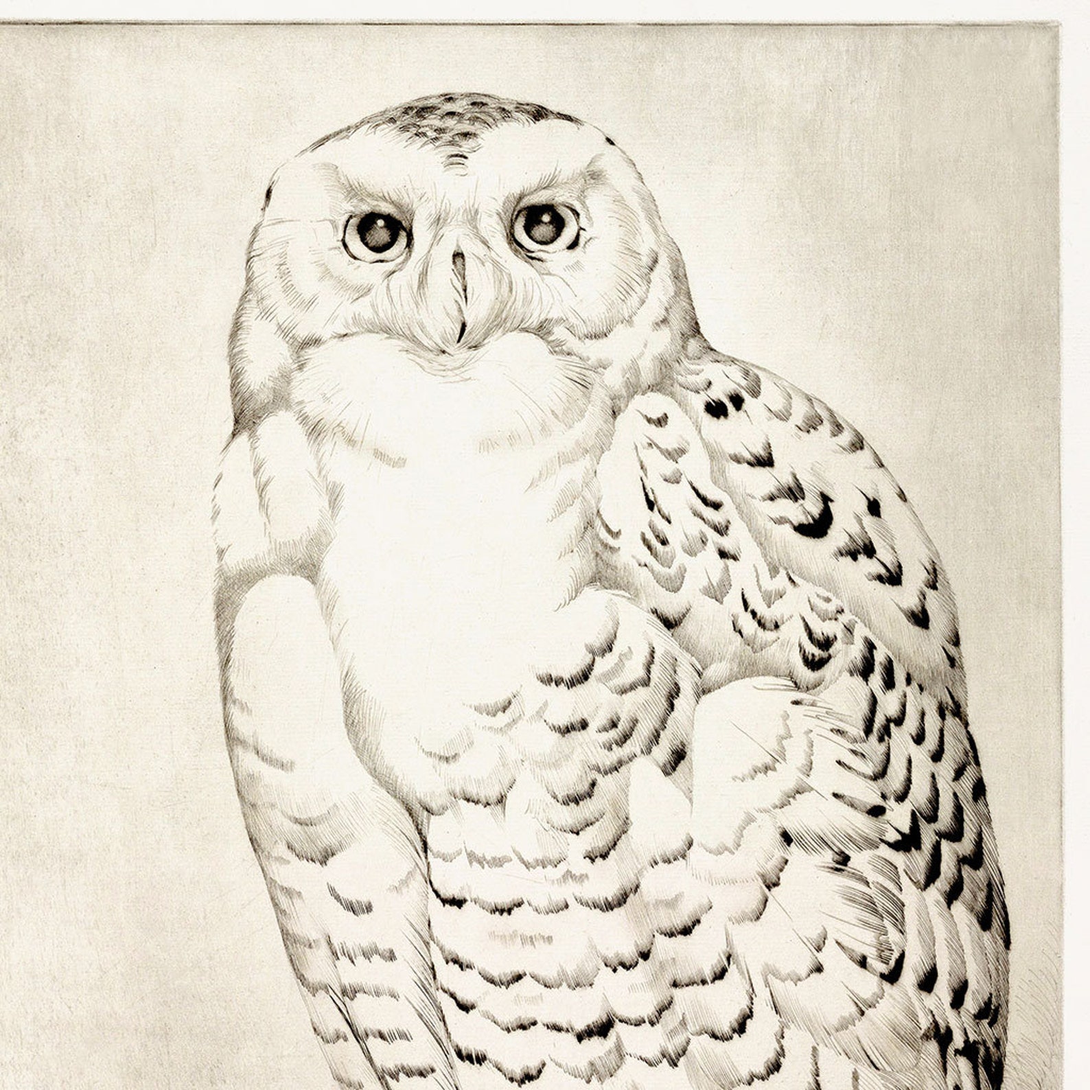 Snowy Owl Print Downloadable Prints Bird Artwork Neutral Wall - Etsy
