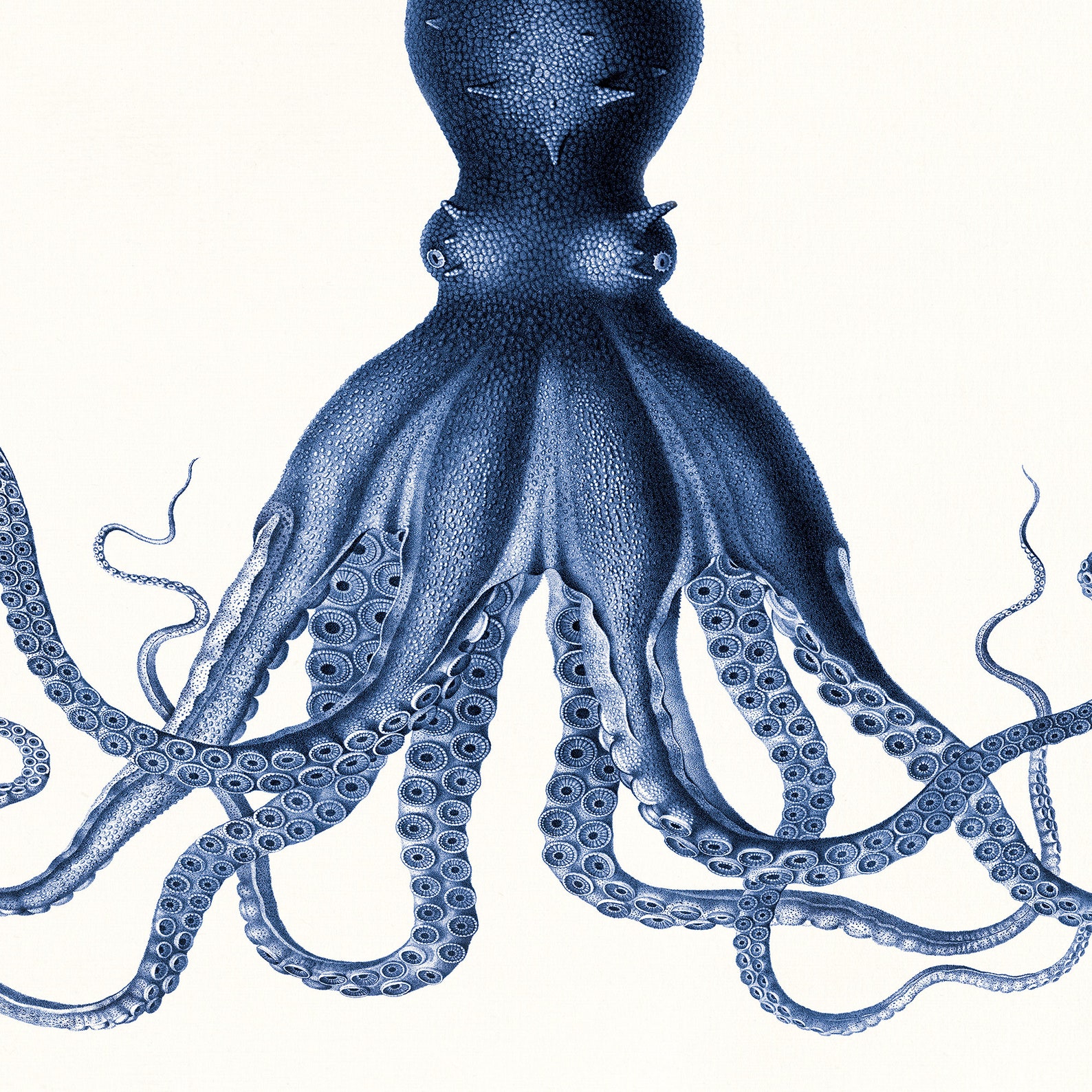 Blue Octopus Art Digital Prints Nautical Nursery Downloadable | Etsy