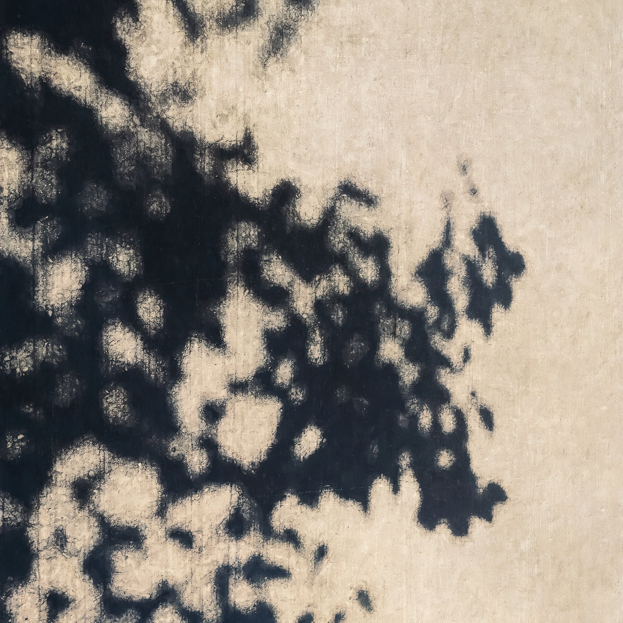 Abstract Shadow Photography Printable Artwork Set of Two - Etsy