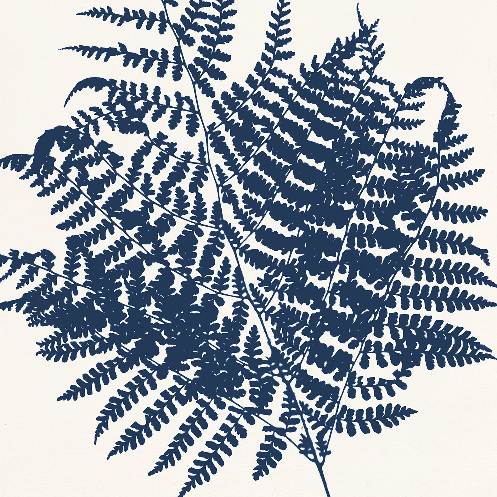Blue Botanical Fern Print Downloadable Prints Leaf Botanical - Etsy