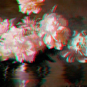 Glitch Art Pink Peony Painting Downloadable Prints, Still Life Painting ...