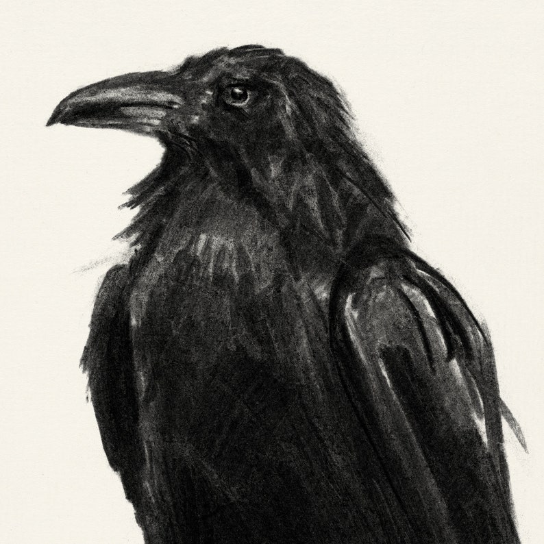 Raven Art Downloadable Prints, Bird Charcoal Drawingprintable Wall Art ...