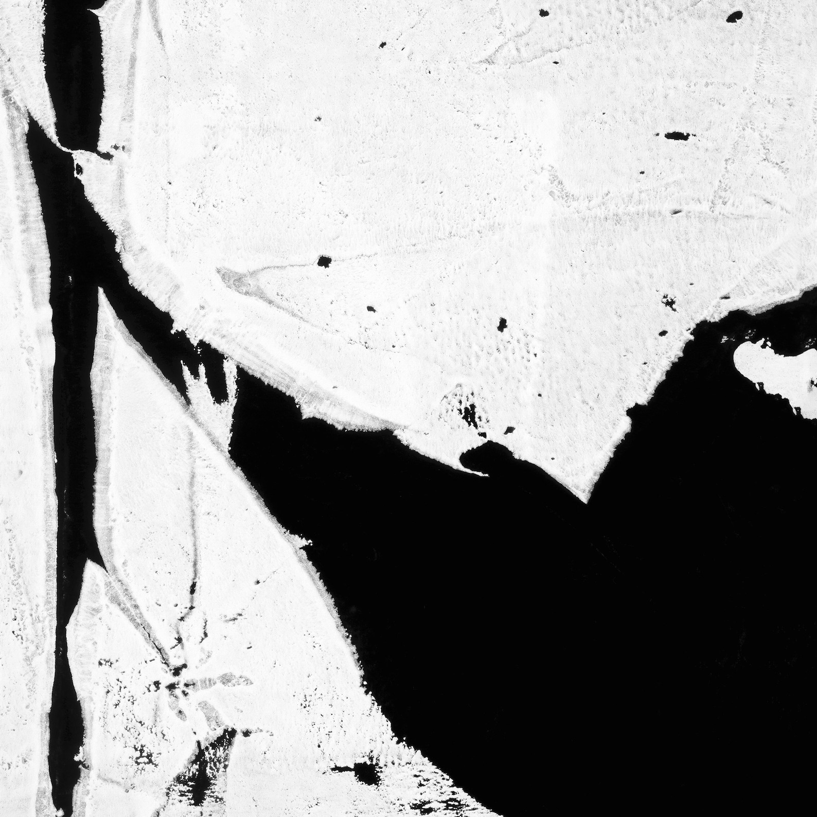 Abstract Art Digital Prints Monochrome Modern Gallery Wall - Etsy