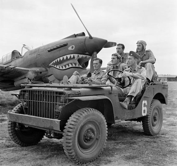 WW2 Flying Tigers Chinese Airforce Squadron of Americ… - Gem