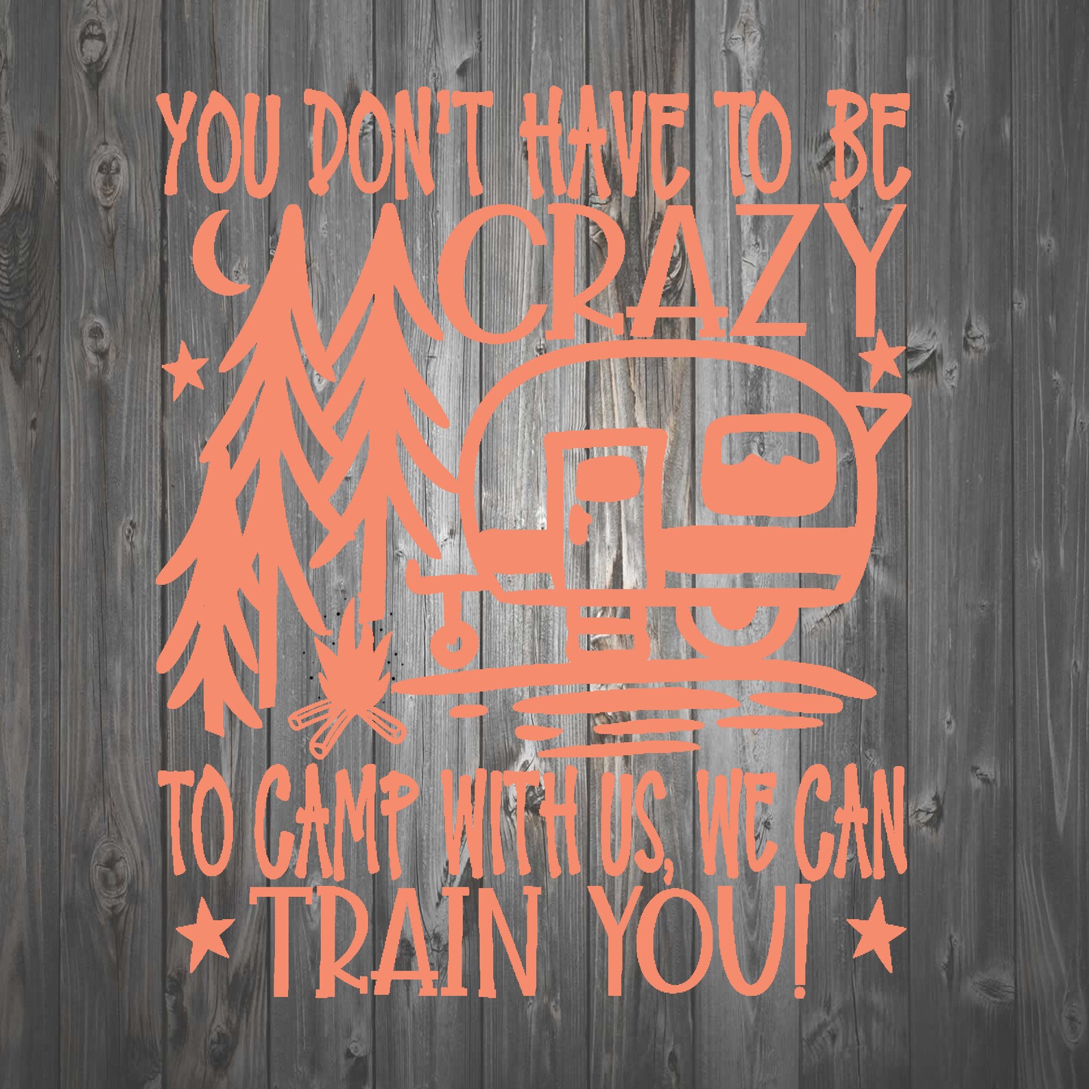 Crazy Camper TT Large Camper Decal RV Slide Out Decal - Etsy