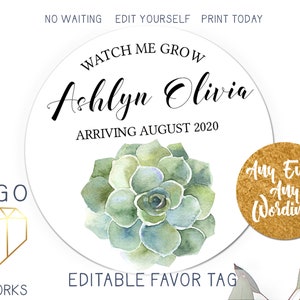 Watch Me Grow Succulent Favor Tags, 2" Round Plant Tags Botanical ...