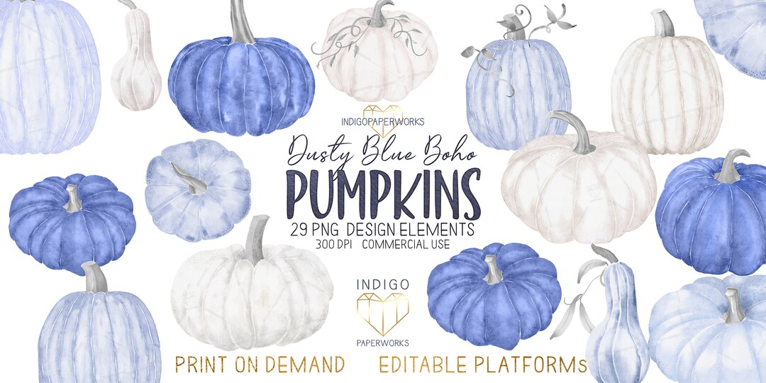 Dusty Blue and White Pumpkin Clipart - 29 Hand Painted Watercolor ...
