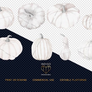 Dusty Blue and White Pumpkin Clipart - 29 Hand Painted Watercolor ...