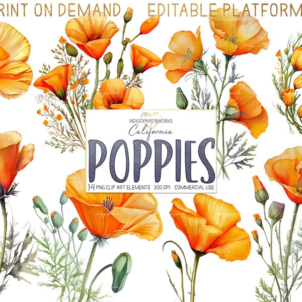 California Poppy Art - Etsy