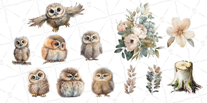 Baby Owl Watercolor Art Clipart 39 PNG Cute Baby Owl Clipart - Etsy