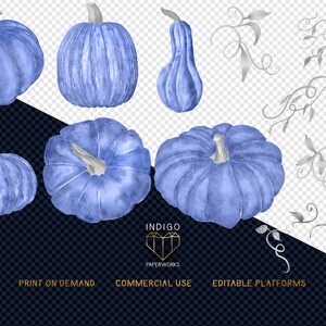 Dusty Blue and White Pumpkin Clipart - 29 Hand Painted Watercolor ...