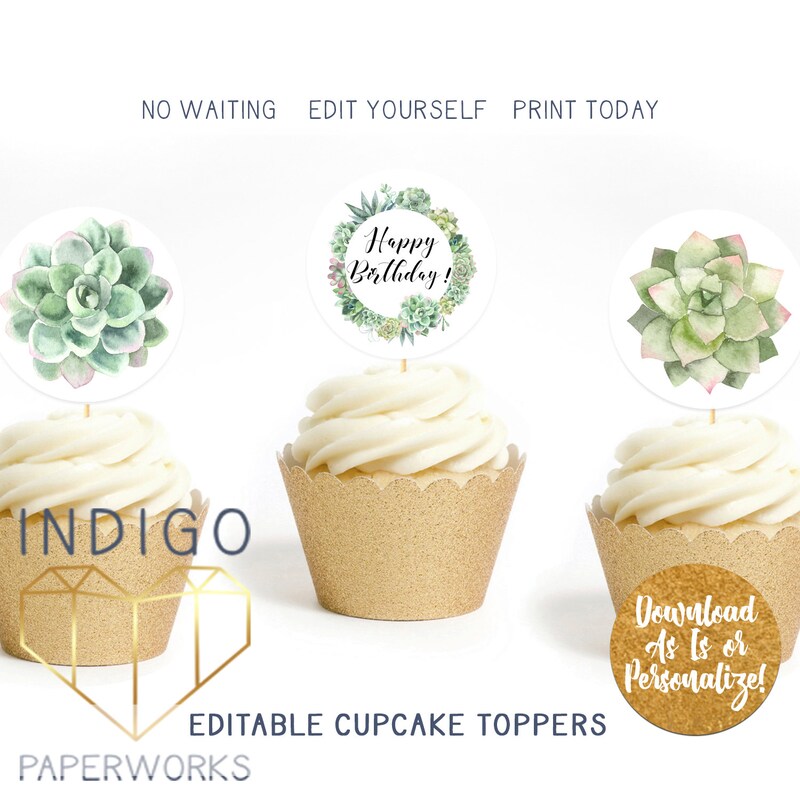 Succulent Birthday Party - Etsy