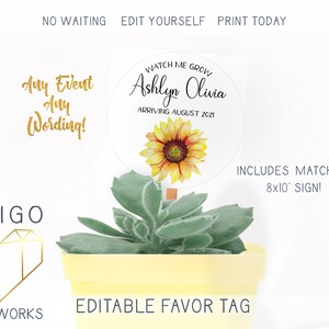 Watch Me Grow Sunflower Favor Tags, 2" Round Plant Tags Botanical ...