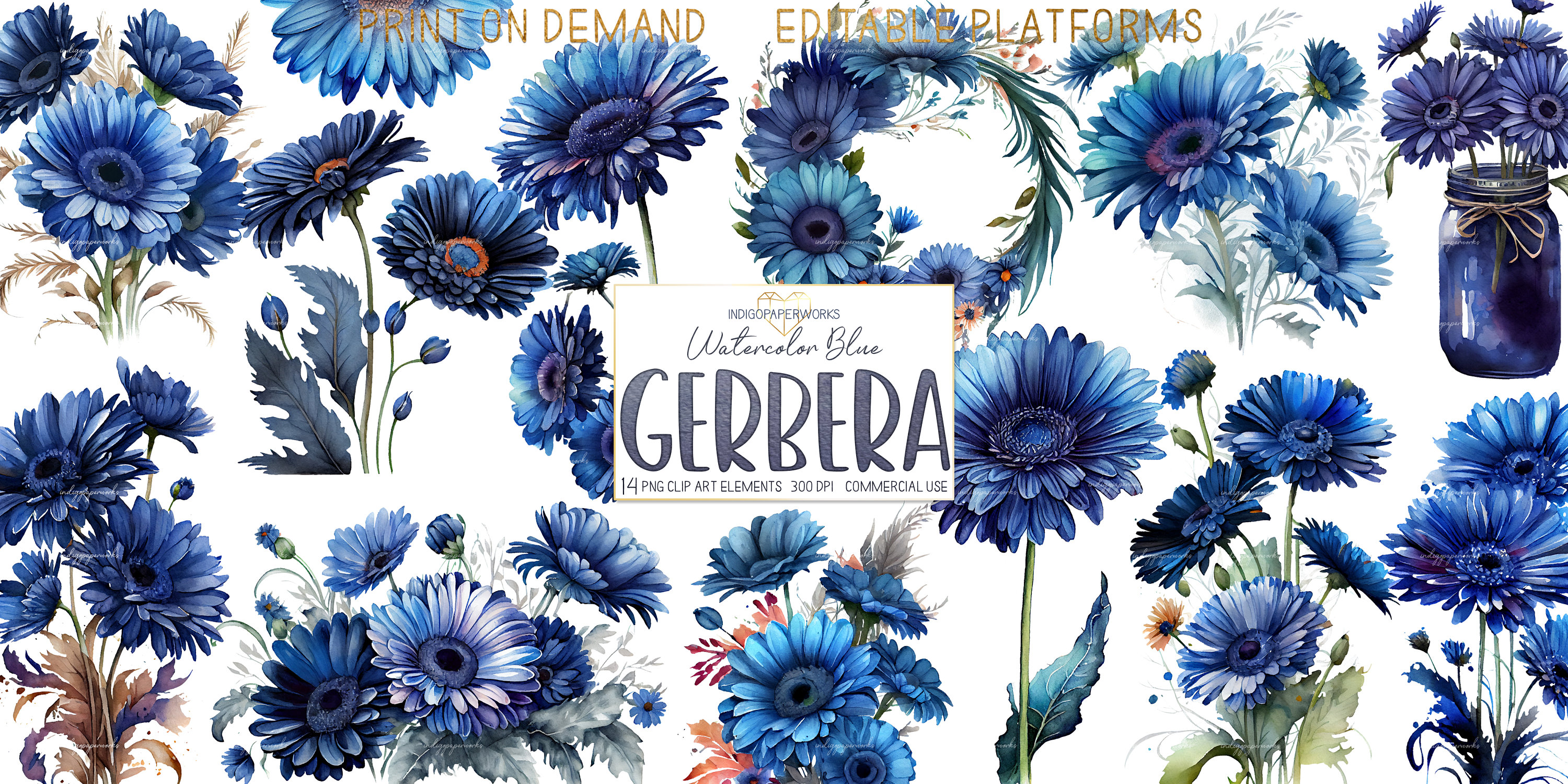 Blue Gerber Daisy Clip Art