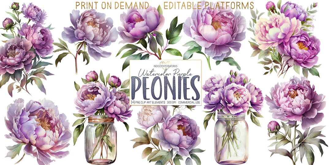 Watercolor Purple Peonies Clipart- 14 Pretty Peony Flower, Bouquet ...